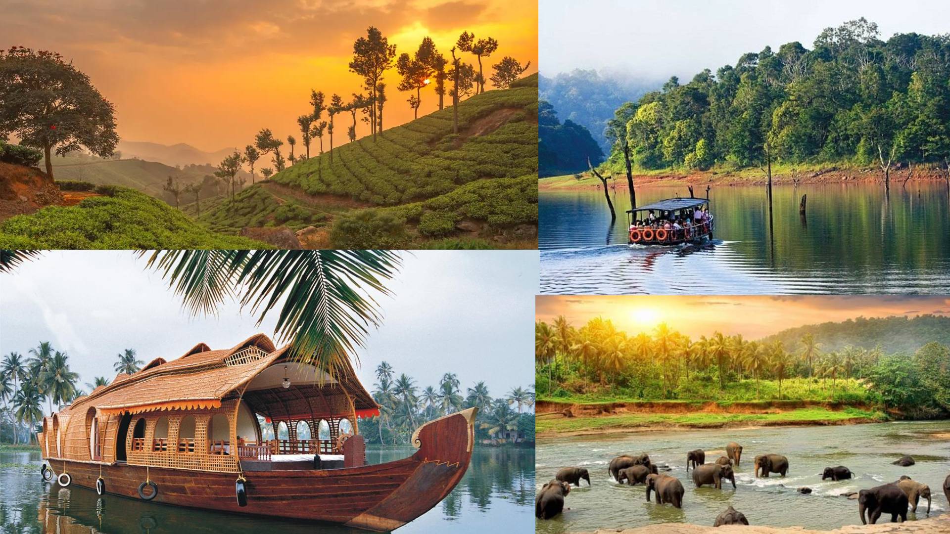Munnar Thekkady Alleppey Tour 5 Days | Kerala Hills & Backwaters